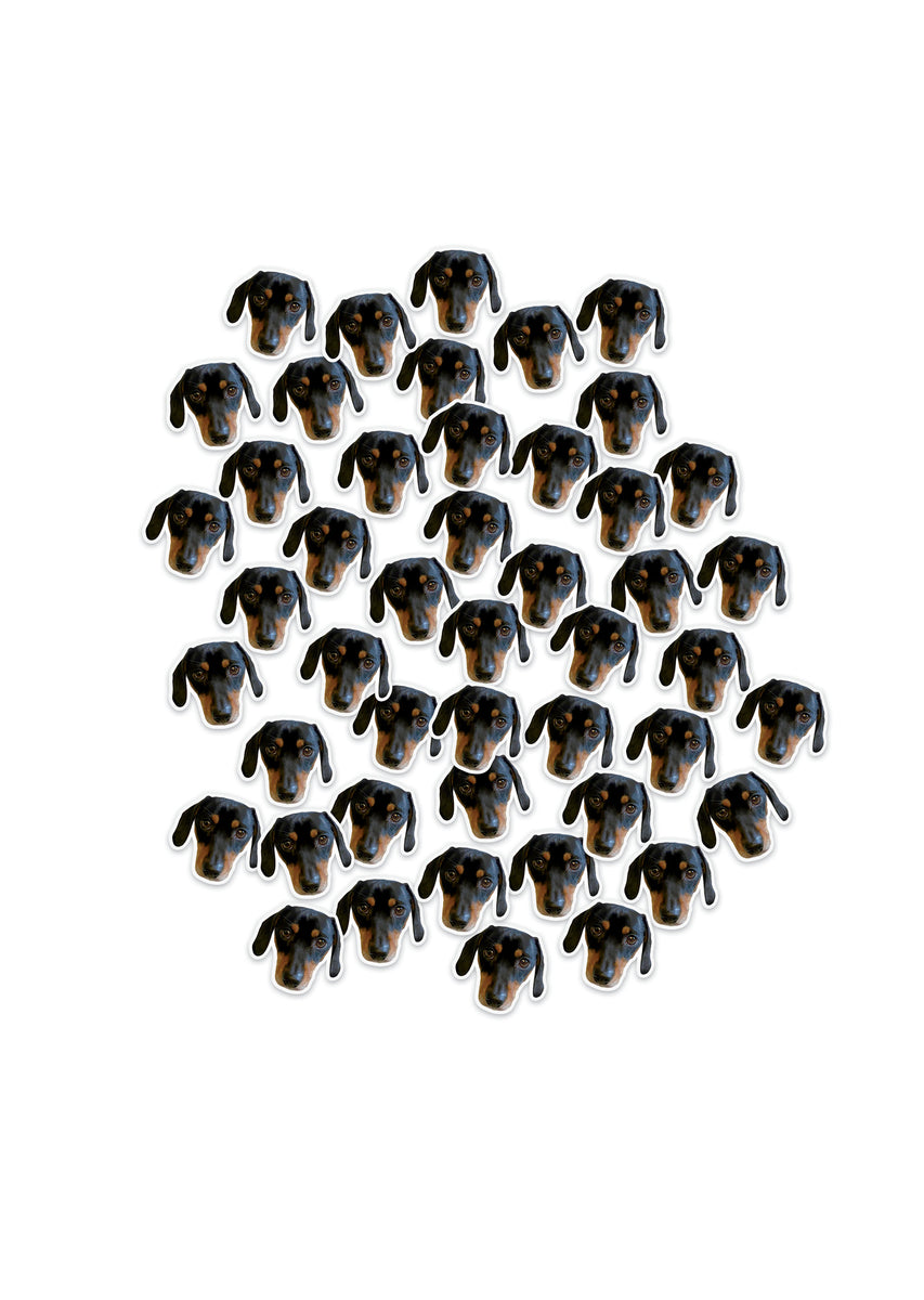 Personalised Pet Face - Confetti - Pack of 50 – theaddedextras